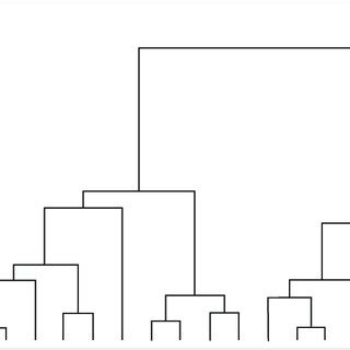 Dendrogram Constructed With The Variables Length And Width Of Biggest