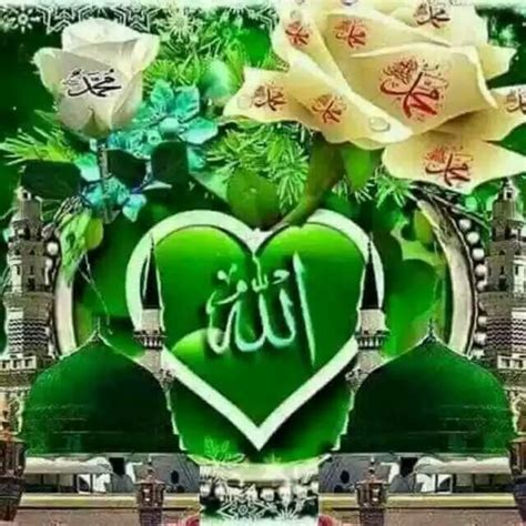 Randa Shehata On Linkedin استغفر الله وأتوب اليه