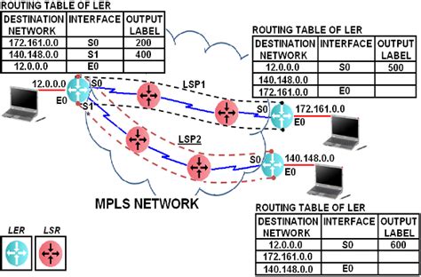 Structure Of An MPLS Shim Header Download Scientific Diagram