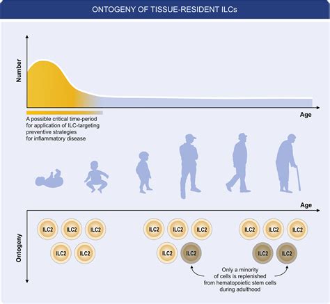 Ilc Sm 100 Ar Marker Light Shelly Lighting