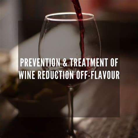 The Role Of Nitrogen And Copper In The Prevention And Treatment Of Wine Reduction Off Flavour