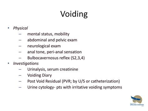 Ppt Voiding Dysfunction And Bph Powerpoint Presentation Free Download