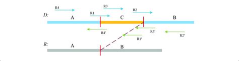 sequence a and b is normal and sequence c is insertion sequence r1