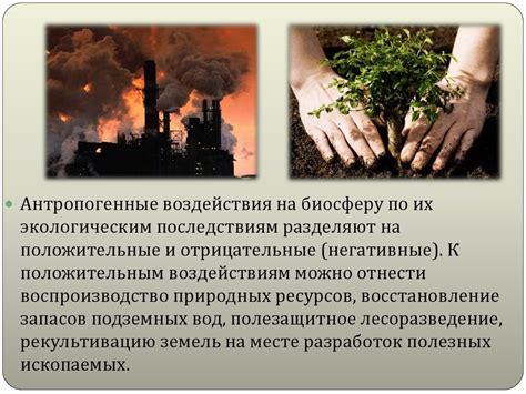 Антропогенное воздействие на окружающую среду презентация онлайн