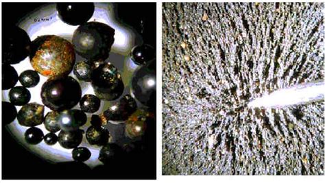 Optical Micrographs Of A Spherules Found In The Top Layer Of The Bone
