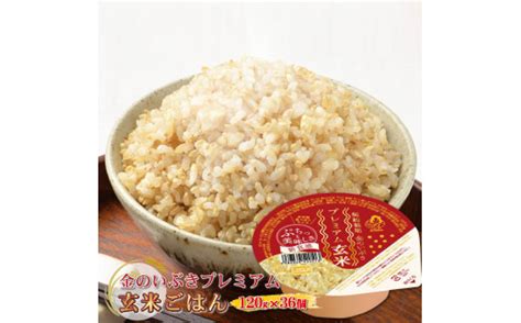 玄米ごはん 120g×36個 災害 一人暮らし 備蓄 パックごはん パックご飯 金のいぶきプレミアム ご飯パック パック米 パックライス