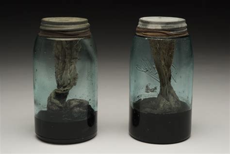 Braydee Euliss At Kim Spruill Blog