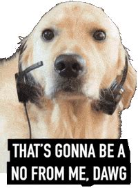 No From Me Dawg S Find And Share On Giphy