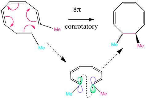 Endiandric Acid Precursor Electrocyclic Reactions In Nature