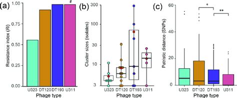 Analysis Of The Four Most Frequent Phage Types Within Monophasic S