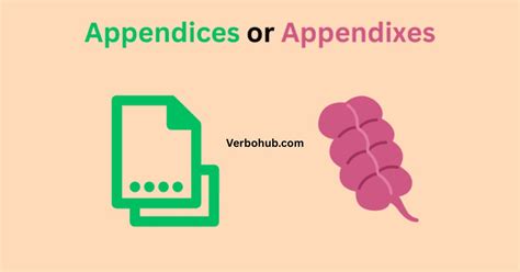 Appendices Or Appendixes Which One To Use Appendices Or Appendixes Which One To Use