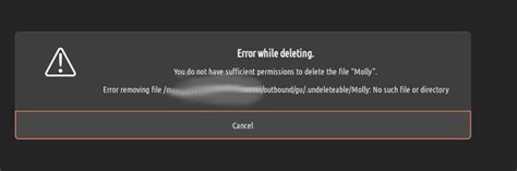 I Cant Delete Some Files On My Hard Drive On Ubuntu Says They Dont
