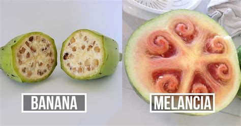 7 alimentos comuns que só existem graças ao ser humano Fatos