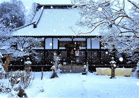 野田市観光協会 令和5年 野田の観光写真コンクール入賞作品