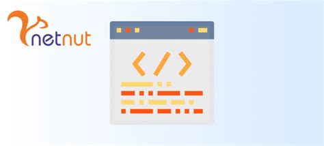 What Is CURL Command And How To Use It Netnut