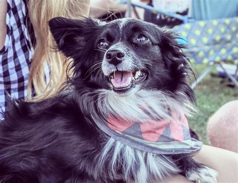 Happy Easter From The Mini Wiggles Piper R Wigglebutts