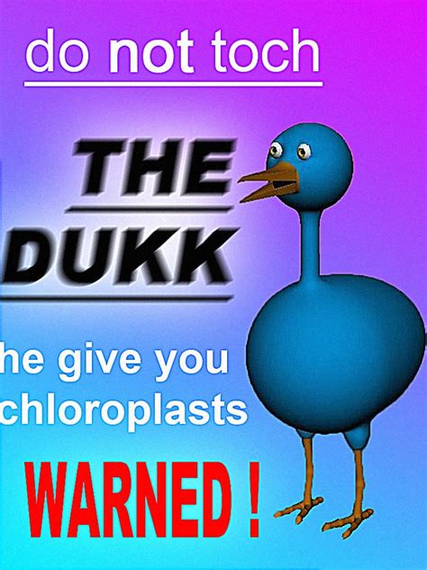 R E A L E Y E Z E This Rsurrealmemes