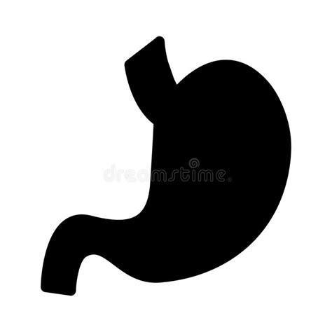 Digestionvector Stock Illustrations 2 Digestionvector Stock