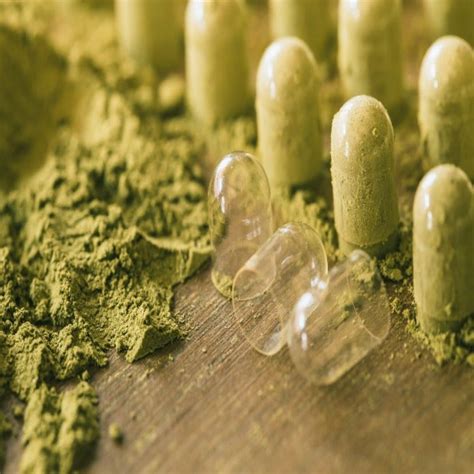 Soursop Graviola Leaf Capsules Kabreem Naturales
