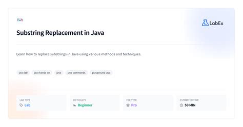 Substring Replacement In Java Labex