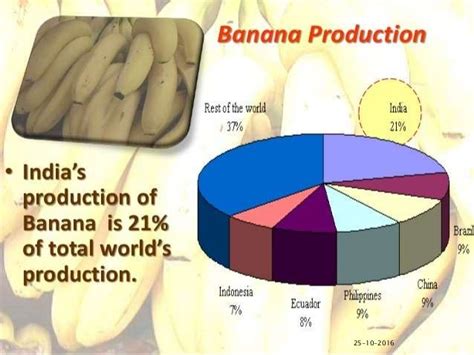 Banana Cultivation