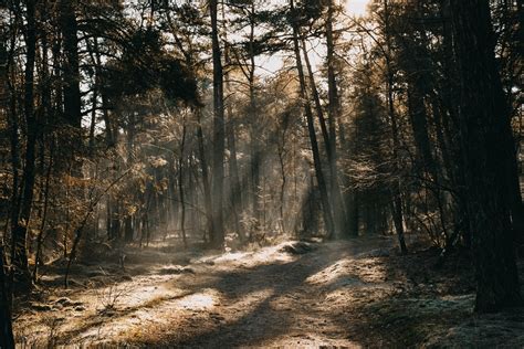 A Nature Inspired Winter Solstice Ceremony — Nabalo