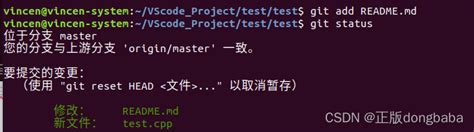 Linuxubuntu下使用git从github拉取项目文件、提交修改后文件的完整流程演示ubuntu Git Clone Csdn博客