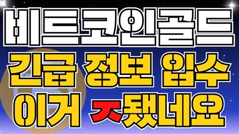 🚨비트코인골드 긴급 정보 입수🚨와우 진짜 대박이네요 비트코인골드코인전망 비트코인골드대응 Youtube
