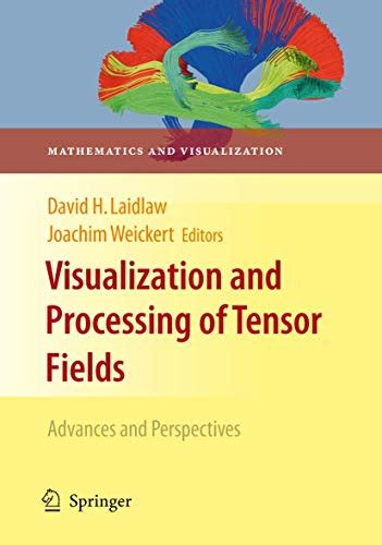 Visualization And Processing Of Tensor Fields Advances And