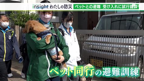 「どうやって避難所でうまく生活をおくるか」ペットとの避難受け入れに試行錯誤【わたしの防災】 Tbs News Dig