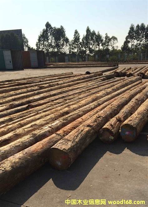 KINGSWOOD INTERNATIONAL TRADING LTD