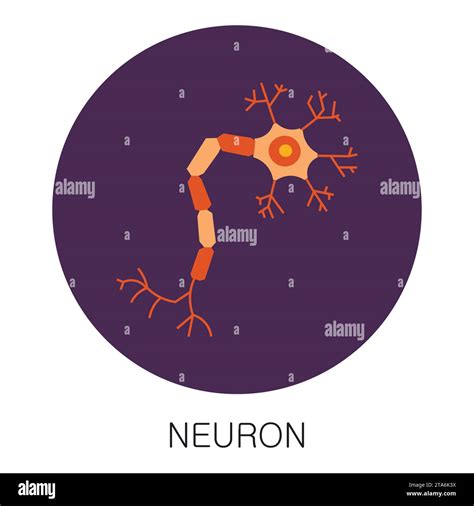Neuron Icon In Flat Style Isolated On White Background Human Anatomy