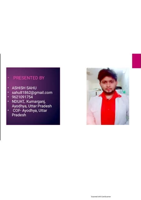 Developmental Stages Of Penaeid Shrimp Pptx