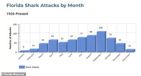 Two Beachgoers Suffer Shark Attacks Within Hours Of Each Other On The