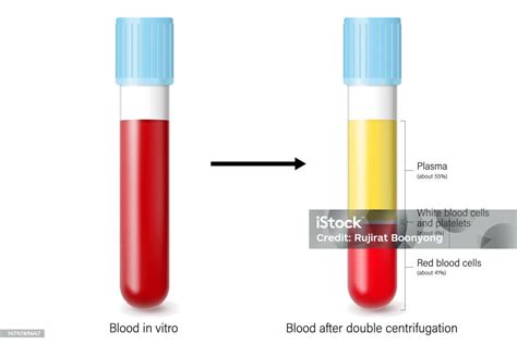 이중 원심 분리 후 체외와 혈액에 혈액 혈장 적혈구 백혈구 및 혈소판 의료 실험실 시험관에 대한 스톡 벡터 아트 및 기타 이미지 시험관 개념 개념과 주제 Istock