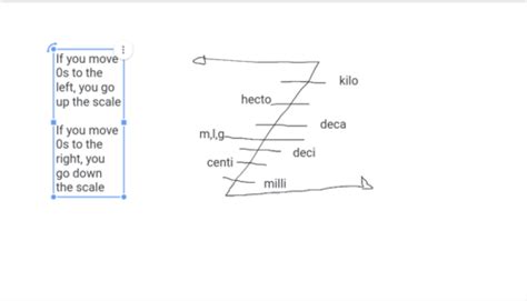 Biology CP Midterm Flashcards Quizlet