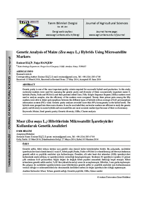 Pdf Genetic Analysis Of Maize Zea Mays L Hybrids Using Microsatellite Markers