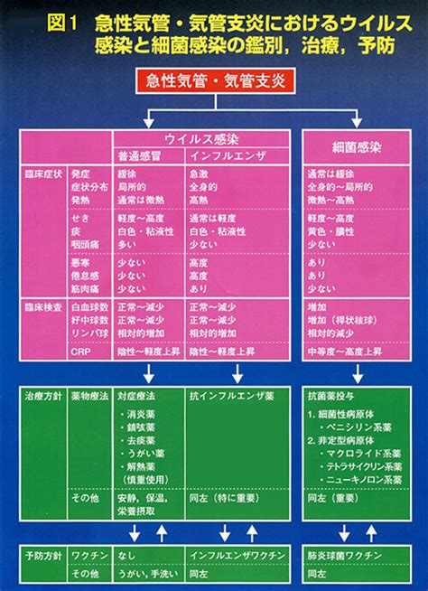 A 03 急性気管支炎 A 感染性呼吸器疾患一般社団法人日本呼吸器学会