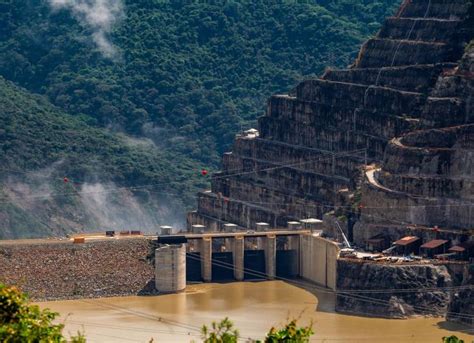 Chinas Una Italiana Y Una Colombiana Estas Son Las Firmas Que
