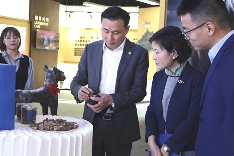 【走亲连心 集智聚力】吴静带领年轻干部走访党员企业家澎湃号·政务澎湃新闻 The Paper