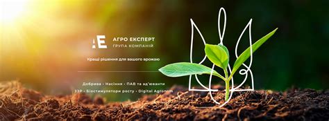 Школа Тенниса Фаворит,... - Школа Тенниса Фаворит, Киев