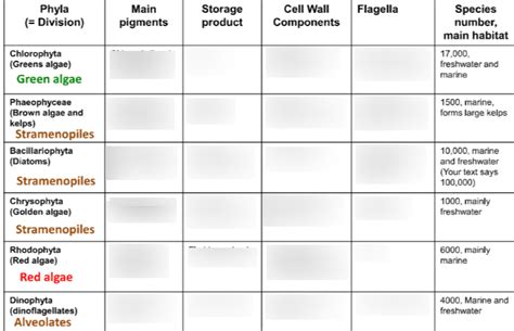 Diagram Of Eeb268 Lecture 2 Eukaryotic Algae Quizlet