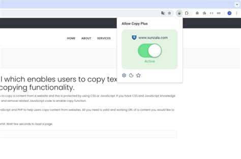 Enable Copy Paste Extension Unlock Text On Any Website