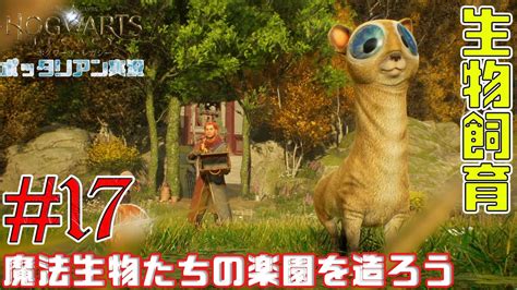 魔法生物を保護して最高の楽園建設計画 17【ポッタリアンによるホグワーツレガシーツッコミ多めの実況】 Youtube