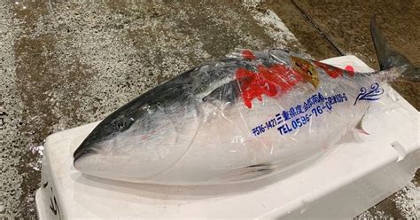 出世しすぎた25㎏のブリが卸売市場に並ぶ。養殖ブリの5倍の大きさ、マグロのいけすでぬくぬくと成長 ハフポスト Life