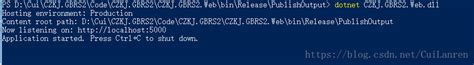 Net Core使用IIS部署出现502Error 502 5 Process Failure iis 502错误解决方式 CSDN博客