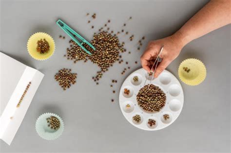 Pi Graph Data And Mathematics Science Activity Exploratorium Teacher Institute Project Pi Graph Data And Mathematics Science Activity Exploratorium Teacher Institute Project