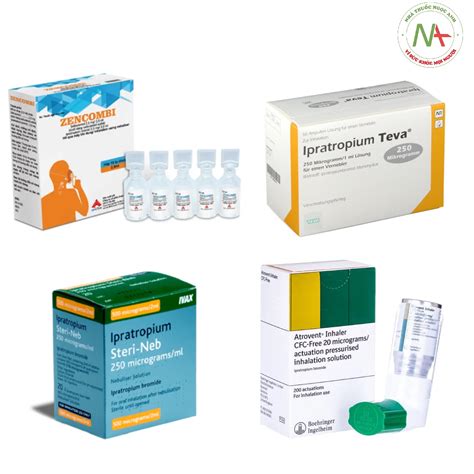 Ipratropium Là Thuốc Gì Thuộc Nhóm Nào Cơ Chế Tác Dụng