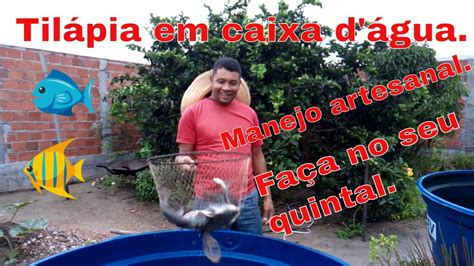Aprimorando o sistema de criação de peixe em caixa d água YouTube