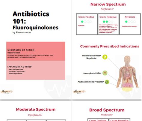 Antibiotics 101 Fluoroquinolones Notes For Medical Etsy